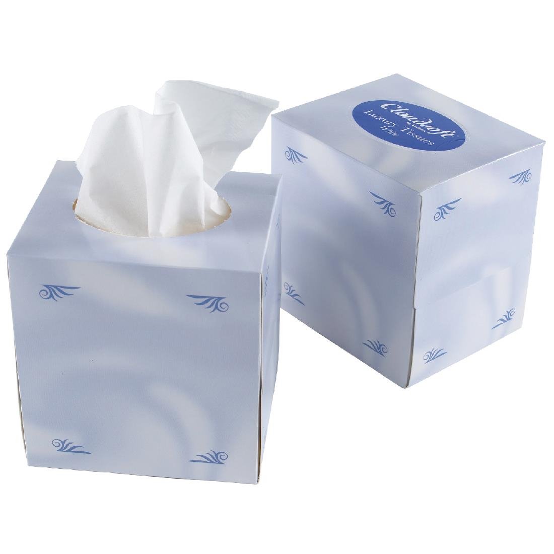 CUBE TISSUES BULKYSOFT 1X24 – Raynor Hygiene