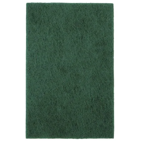 PREMIUM GRADE GREEN SCOURERS 1X10 – Raynor Hygiene